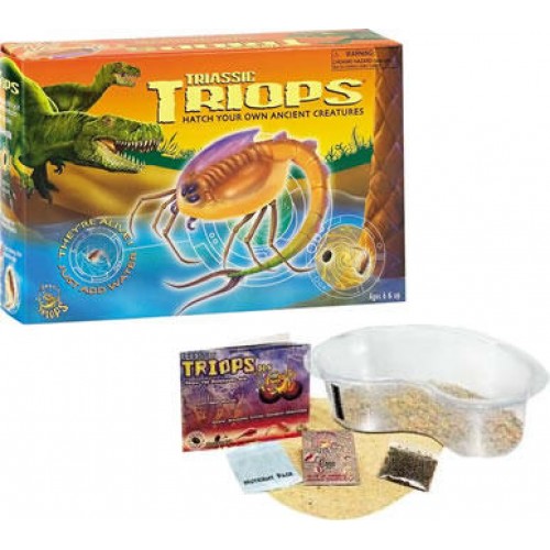 Triops Kit
